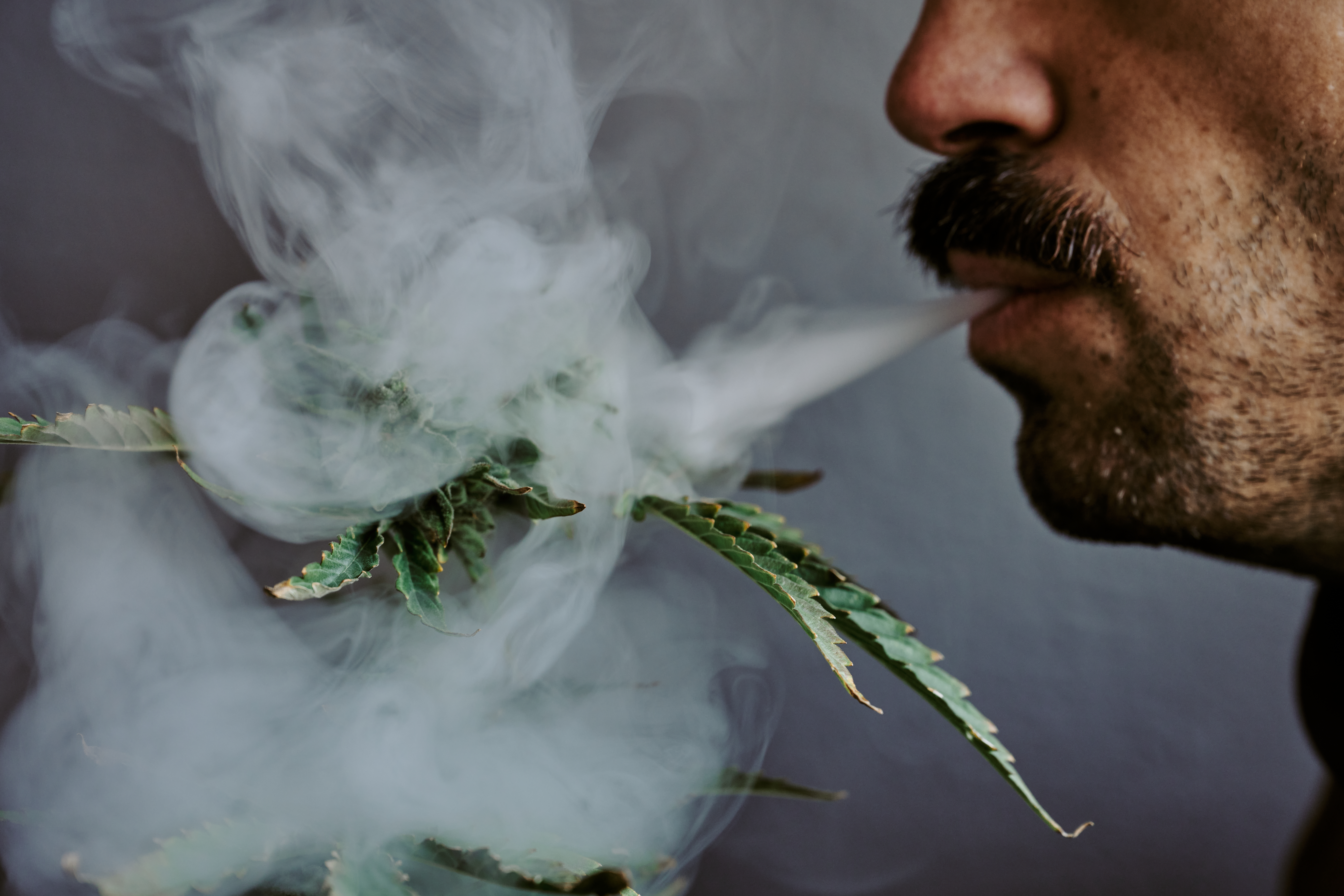 Is Marijuana Addictive? Understanding the Risks and How to Get Help