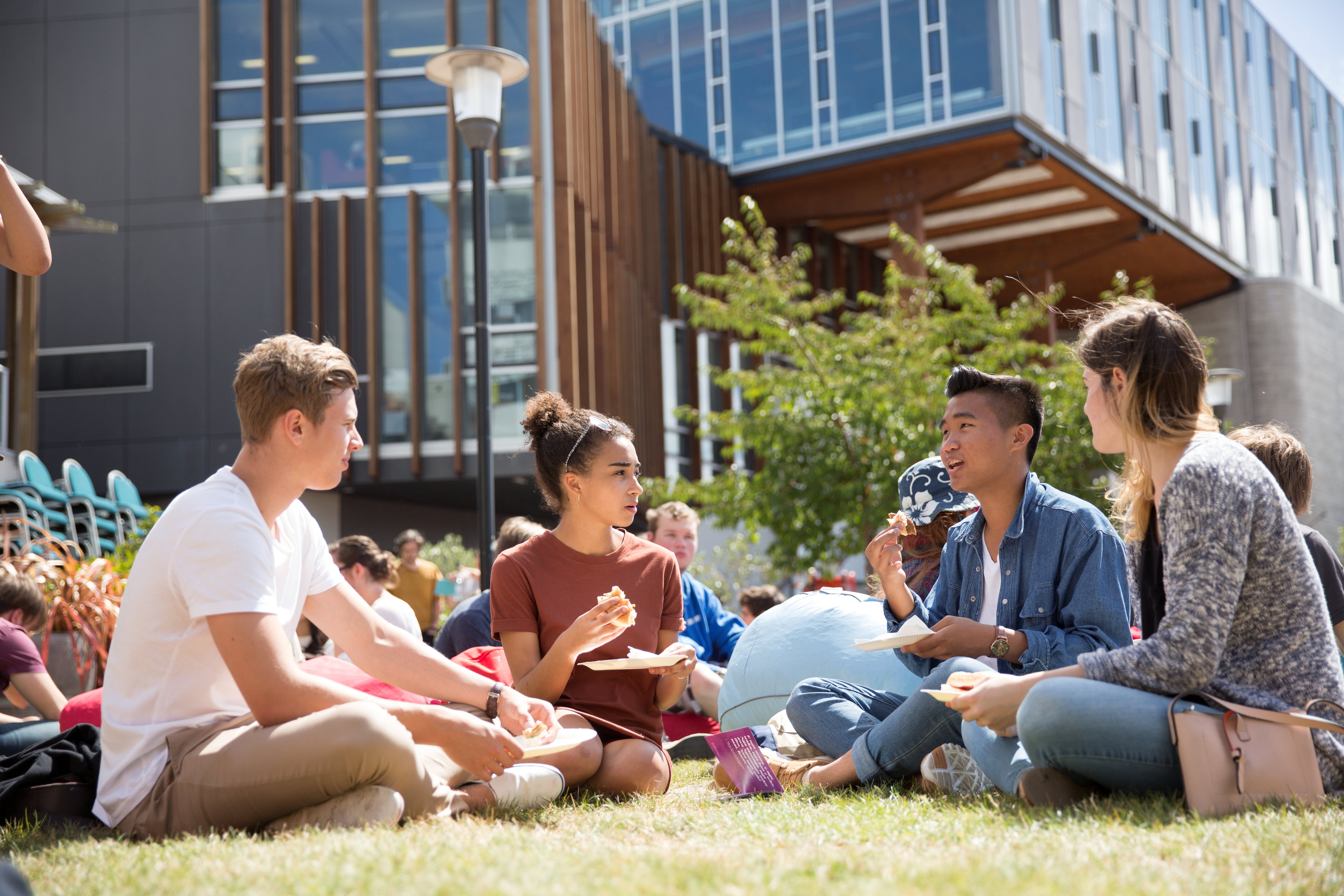 Study Abroad and Exchange Programmes in New Zealand | Study with New ...
